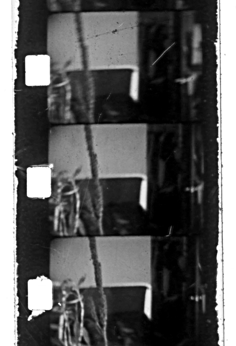 Spit and Image - Sam Cotter