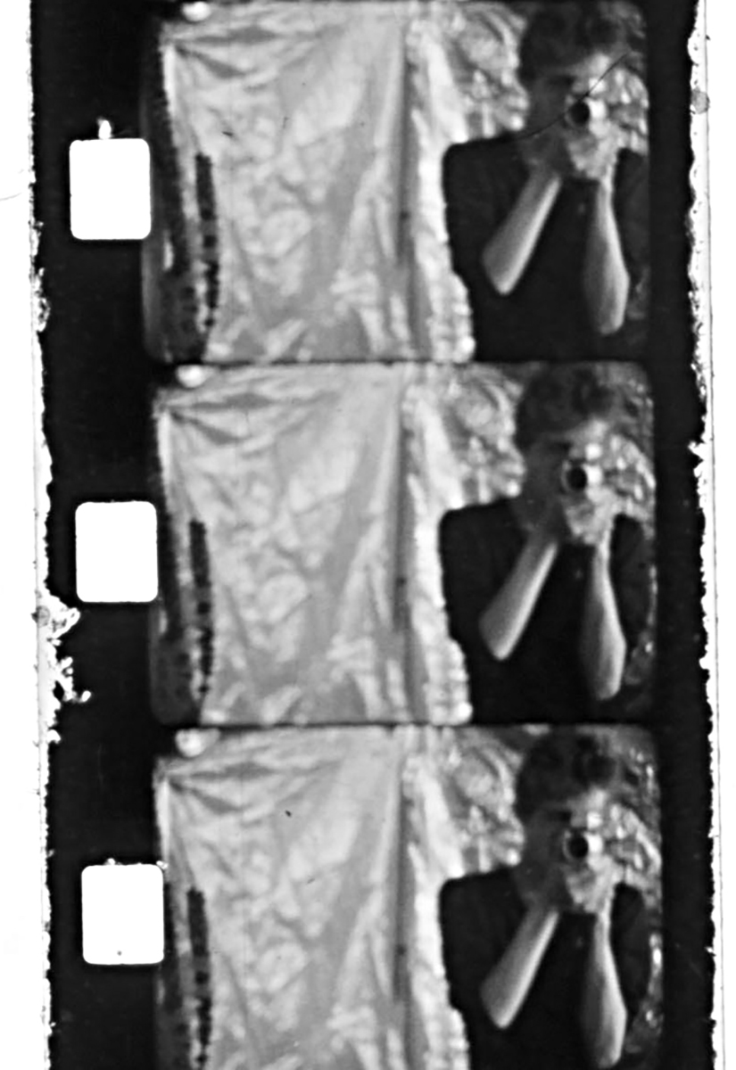 Spit and Image - Sam Cotter